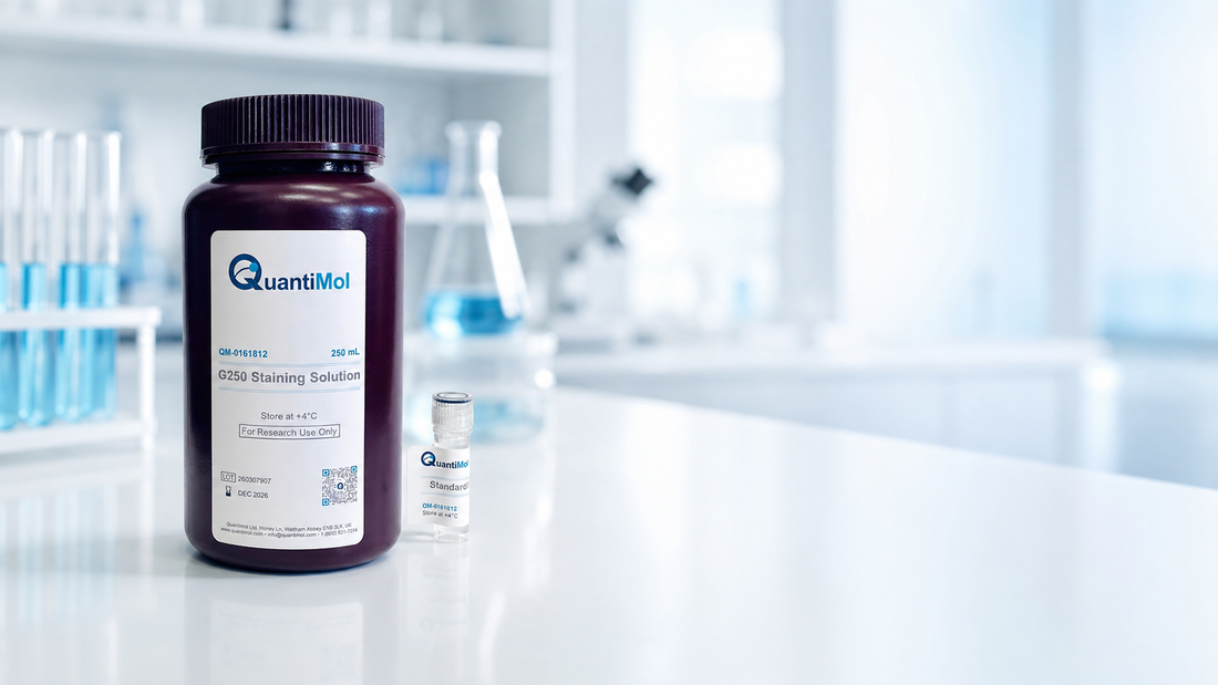 Bradford Protein Assay Kit: Protein Quantification for Routine Researc ...